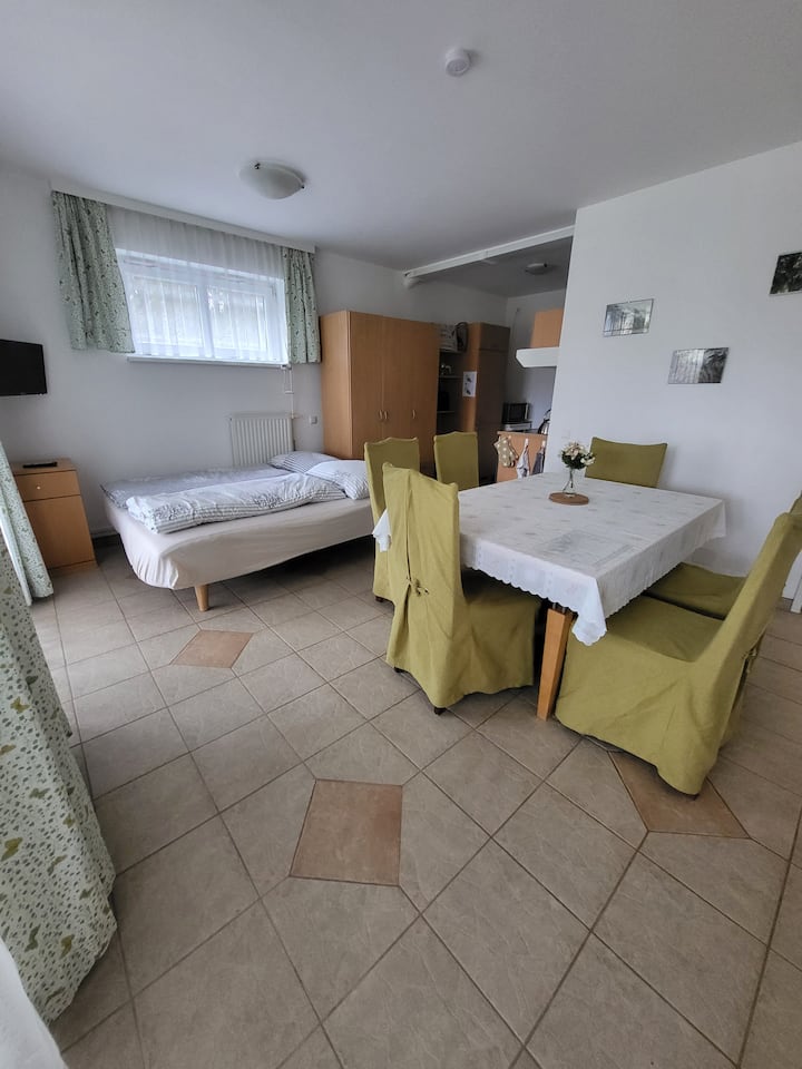 Spacious Apartment With Terrace And Garden - Eisenstadt