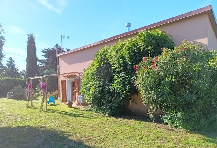 Podere Fichidimare Tra Terme E Mare - San Vincenzo