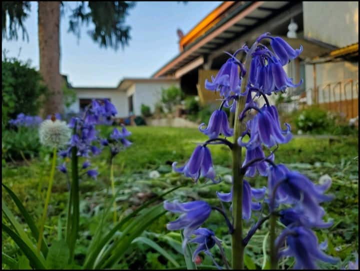 Alte Villa Im Grünen Mit Terrasse - Bad Schönborn