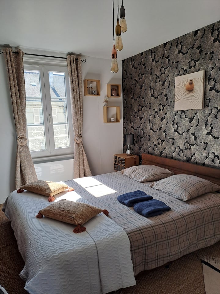 Atypique Joli Appt Centre Saumur 3 Chs  2 à 7 Pers - Saumur