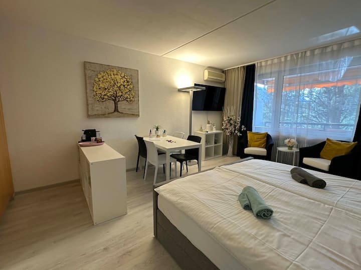 50 M2 Appartement Direkt Am See - Bissone