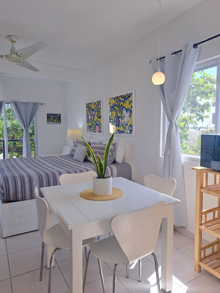 Sunny Ph W/ Private Rooftop & Great Location - Playa del Carmen