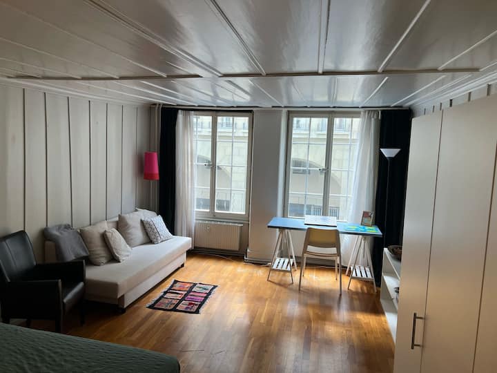 Charming Flat In The Heart Of Bern's Old Town - Bern