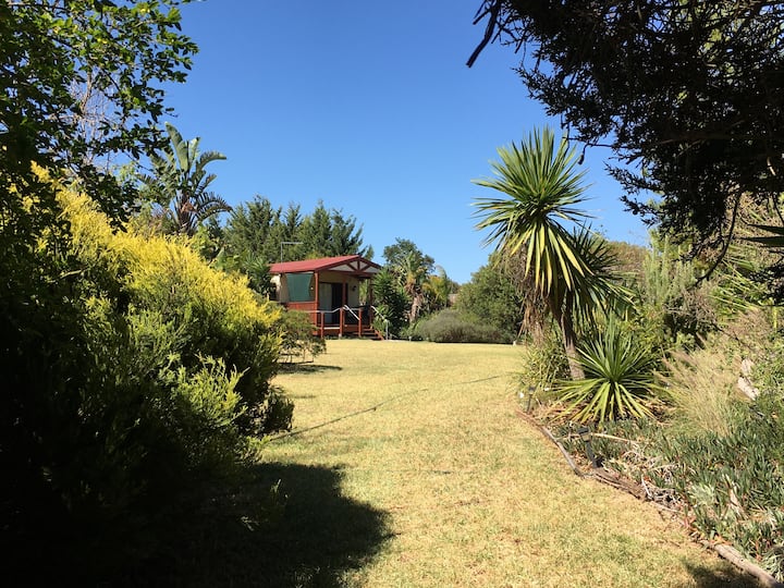 Phar Lap Tree Cottage-winter Getaway Inc Breakfast - Leopold