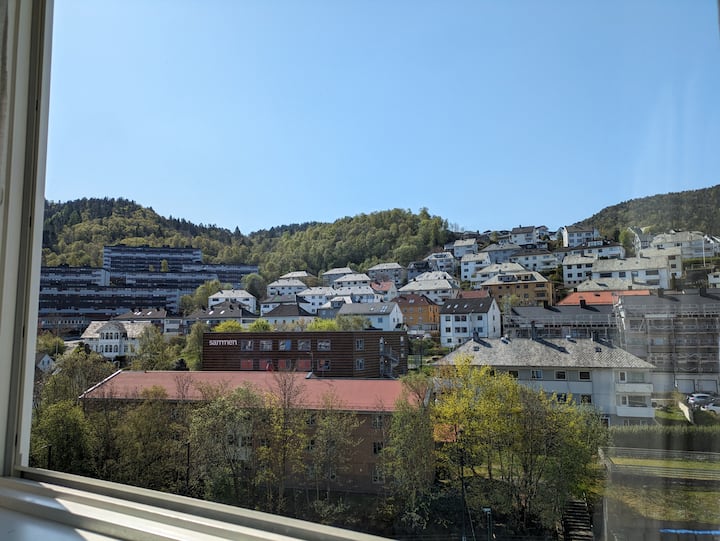 Meget Hjemmekoselig|sentralt|nyoppusset Leilighet. - Bergen, Norway