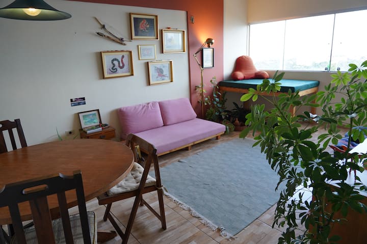 Apt. Inteiro No Coração Do Recife: Rua Da Aurora - Recife