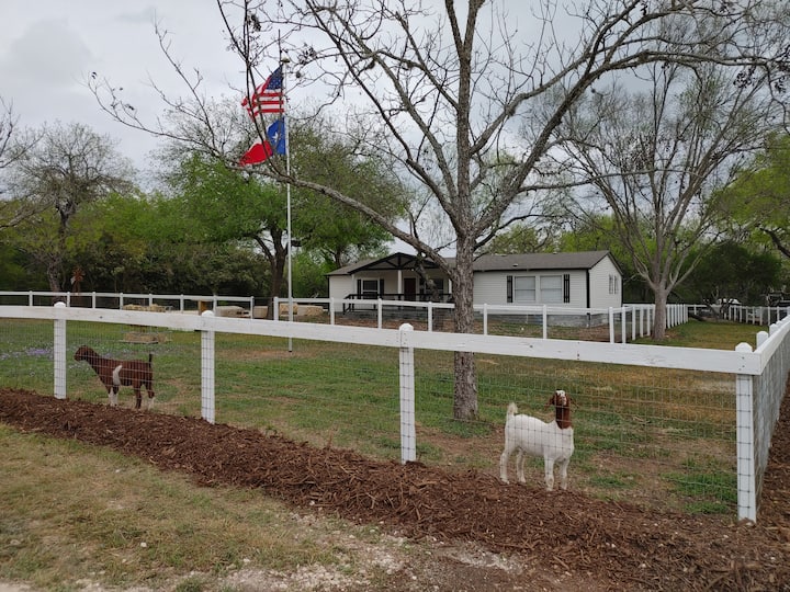 Country Goat House (1 Acre) - San Antonio, TX