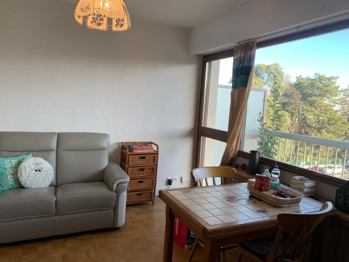 Idéal Pour Curistes, Mais Pas Que ! - ibis Thonon Centre