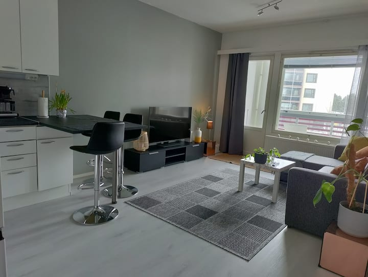 City Center Apartment With Free Parking And Sauna - Rovaniemi