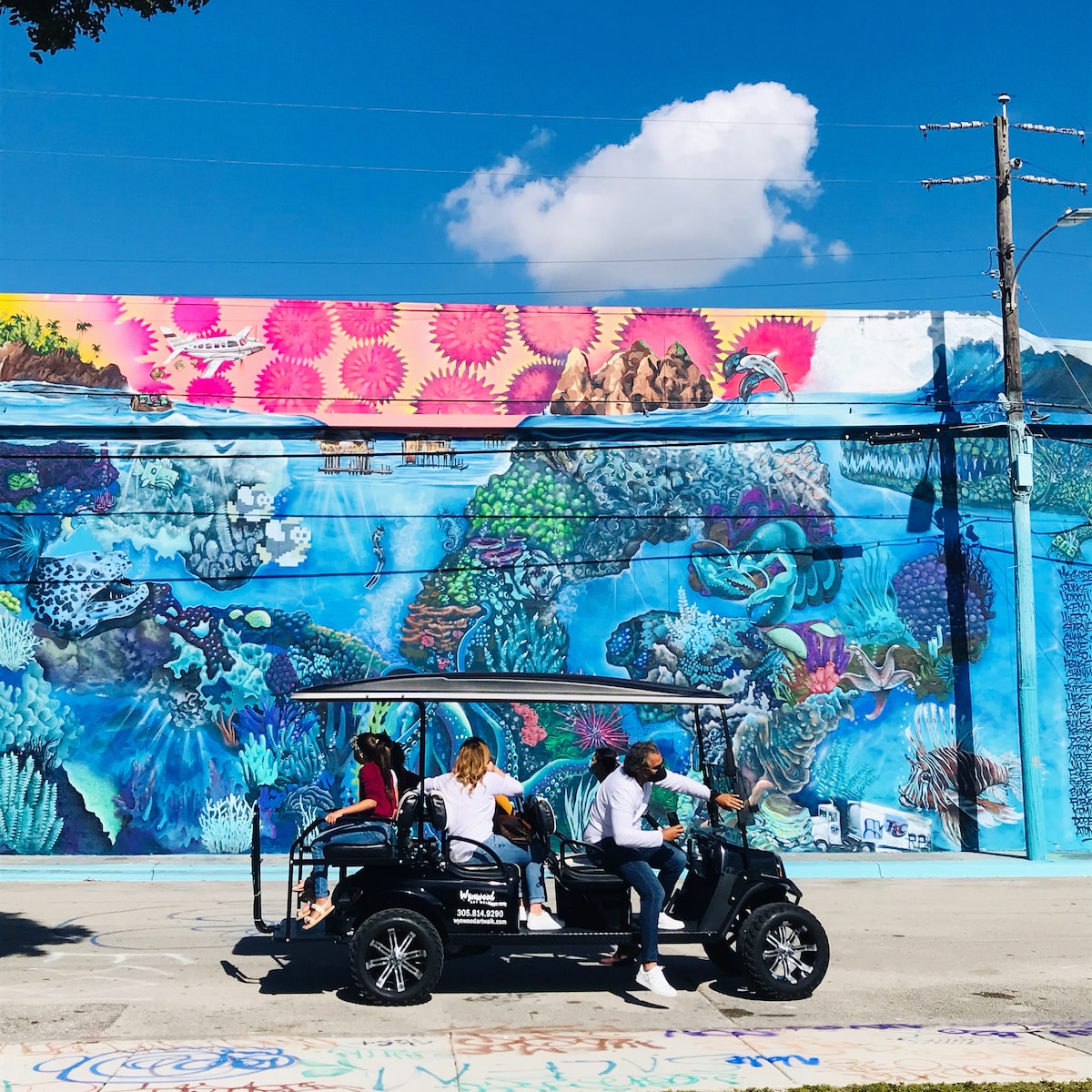 Things to do in Miami | Experiences, Activities, Tours & More ...