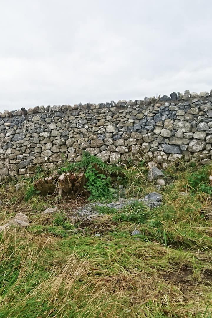 Restoration Project of Irish Famine Wall - Airbnb