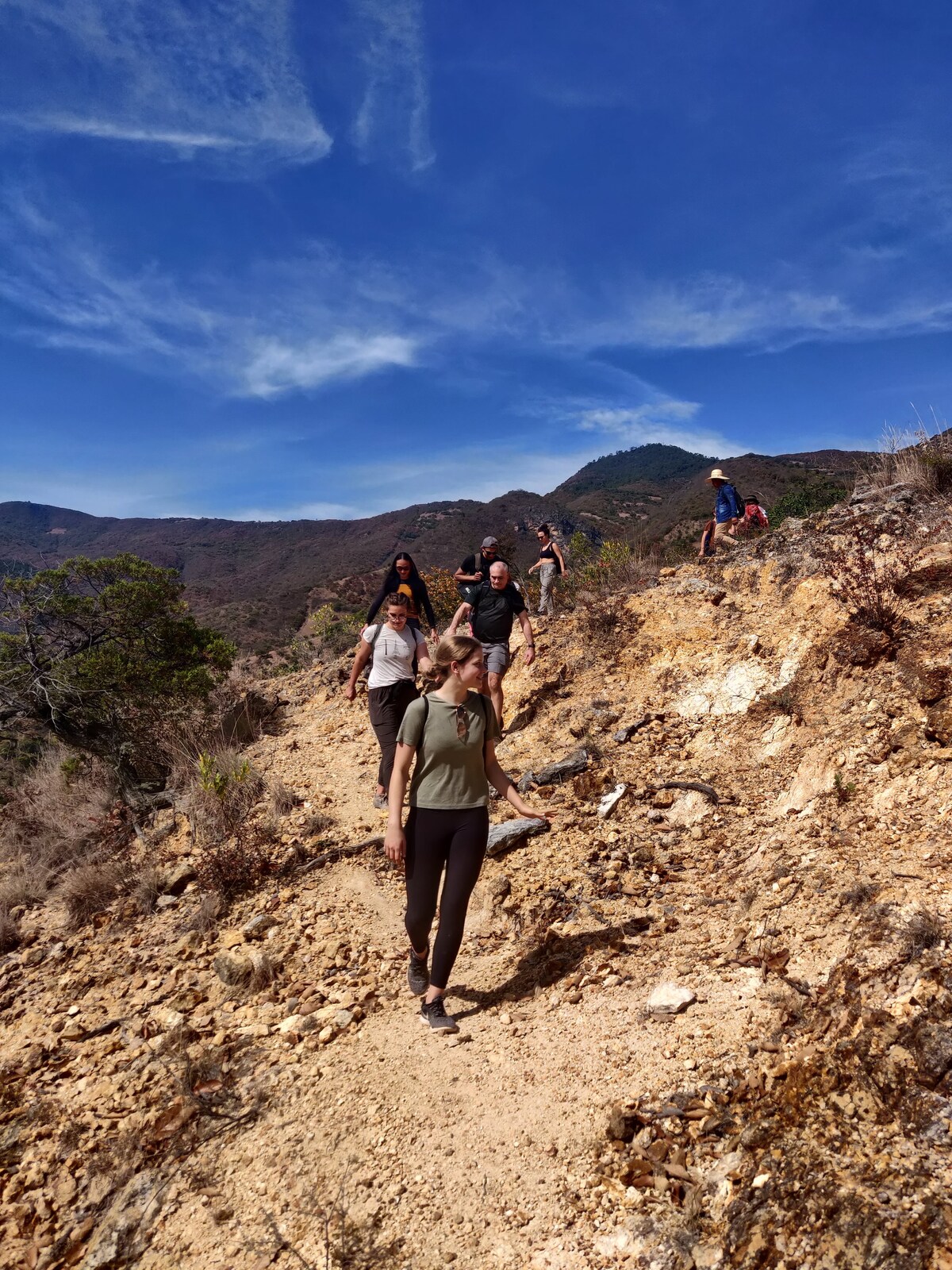Best Things to Do in Oaxaca | Unique Tours & Activities - Oaxaca ...