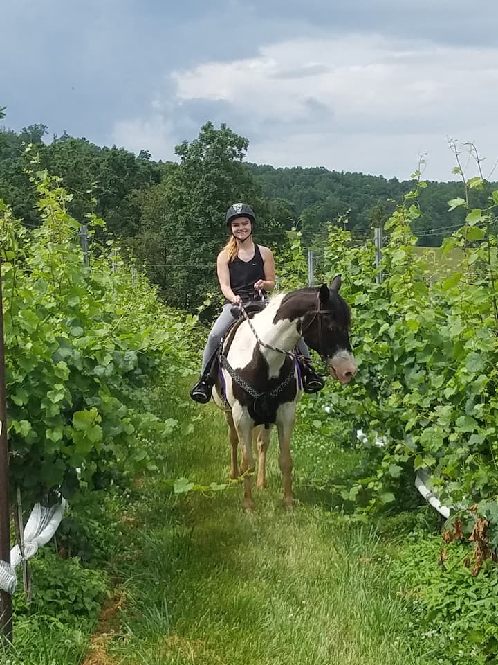 Things to Do in Boydton | 5-Star Authentic Experiences