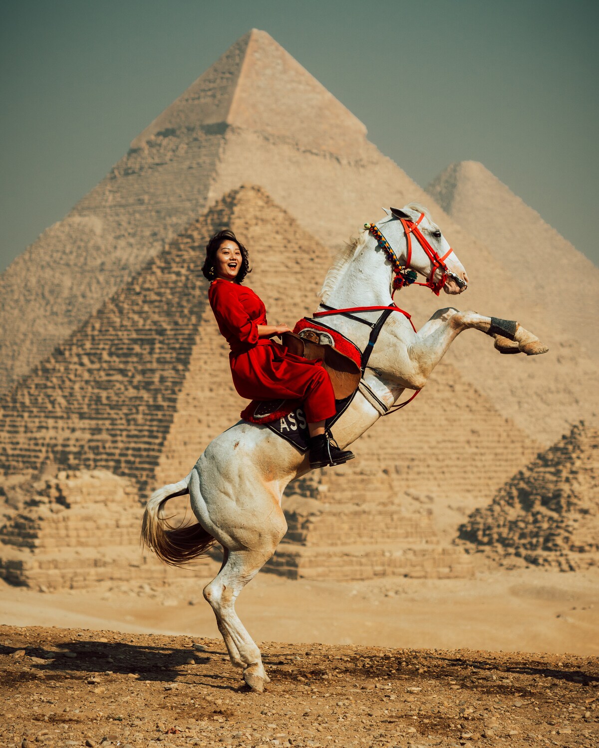 Égypte : les meilleures activités | Visites et expériences uniques | Airbnb