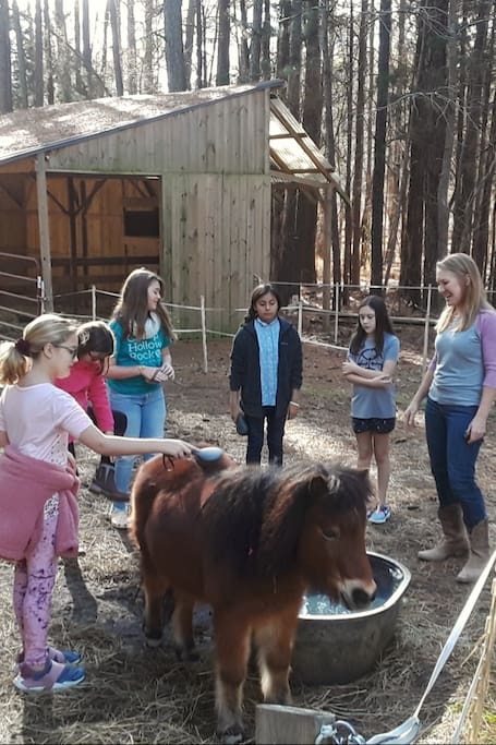 Activiteiten in Boydton | Authentieke ervaringen met vijf sterren