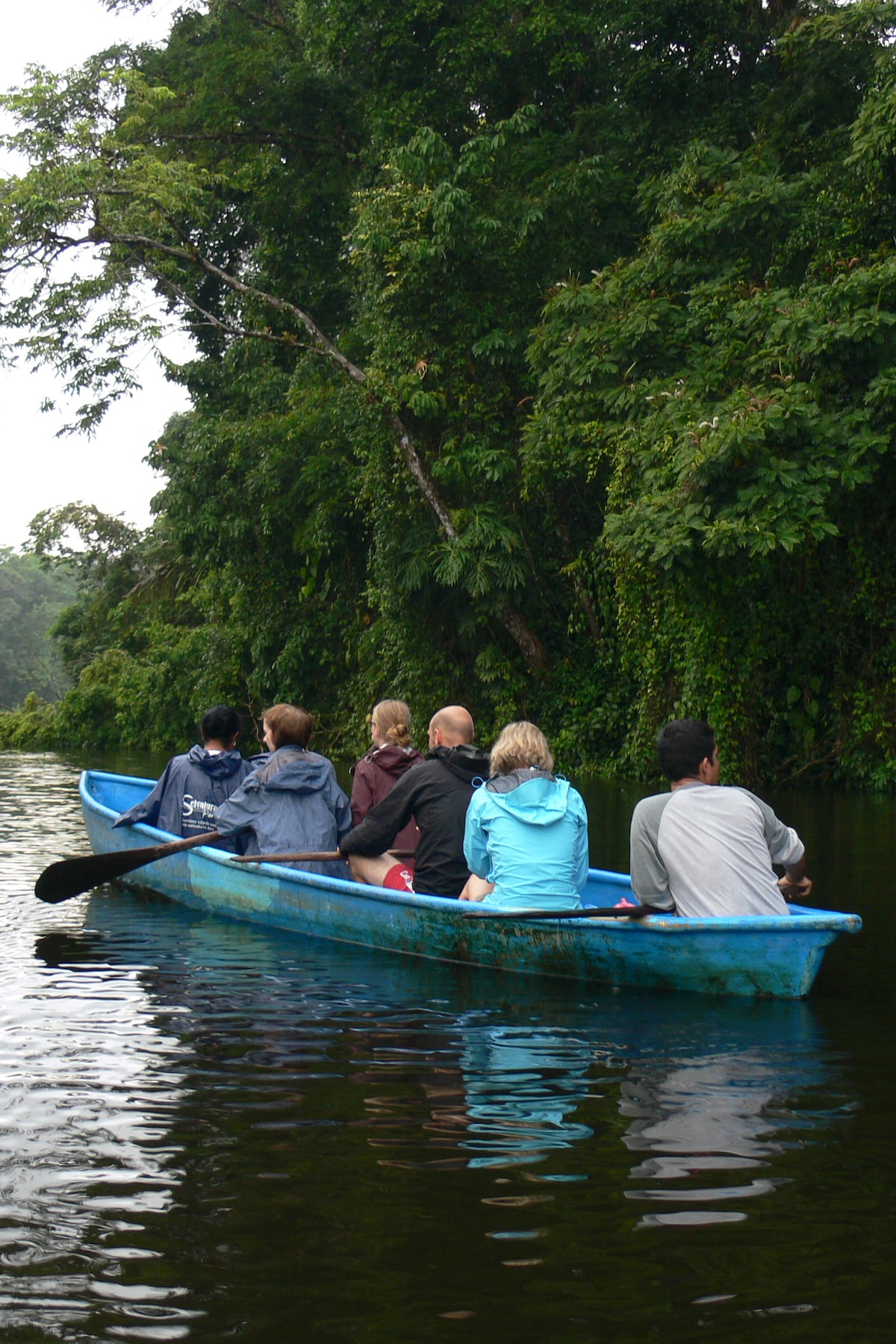 Best Things to Do in Limón Province | Unique Tours & Activities - Costa ...