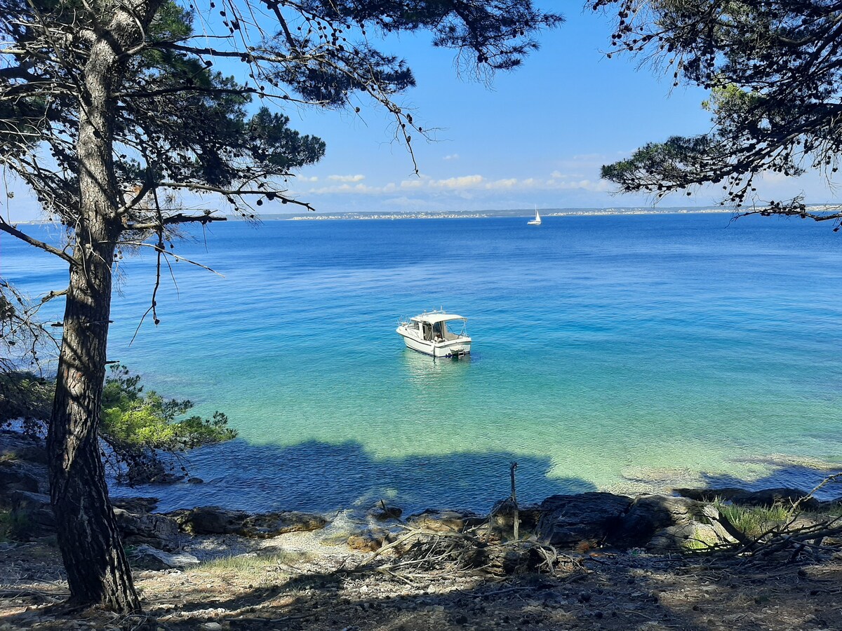 Best Things to Do in Zadar | Unique Tours & Activities - Zadar County ...