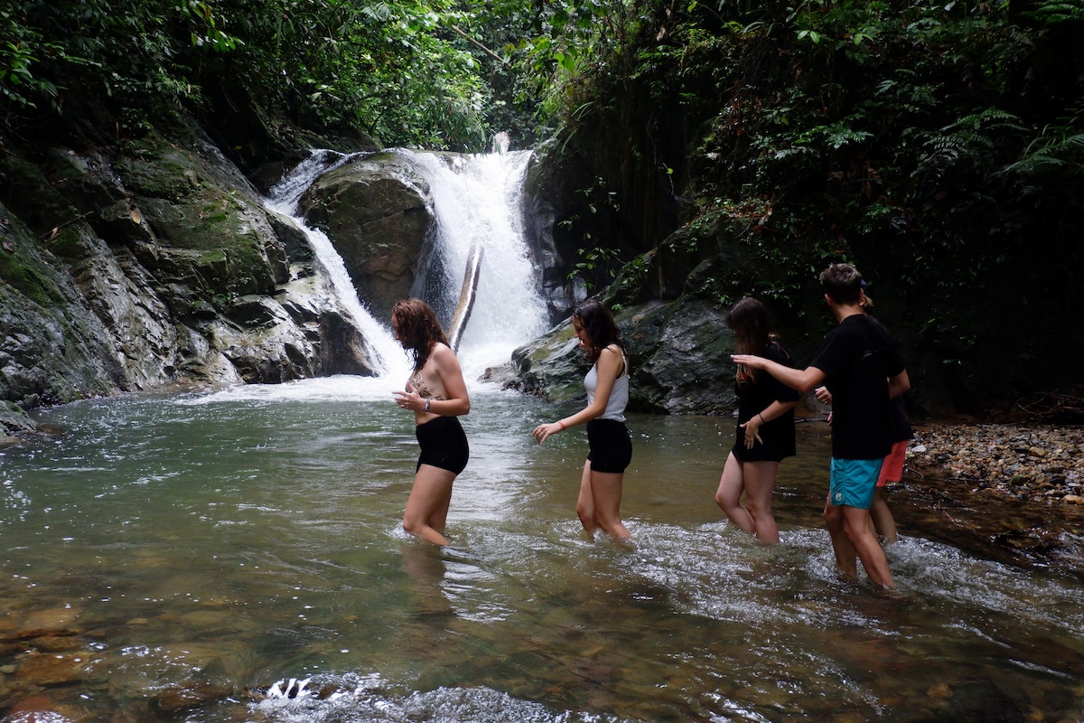 Best Things to Do in Gombak District | Unique Tours & Activities ...