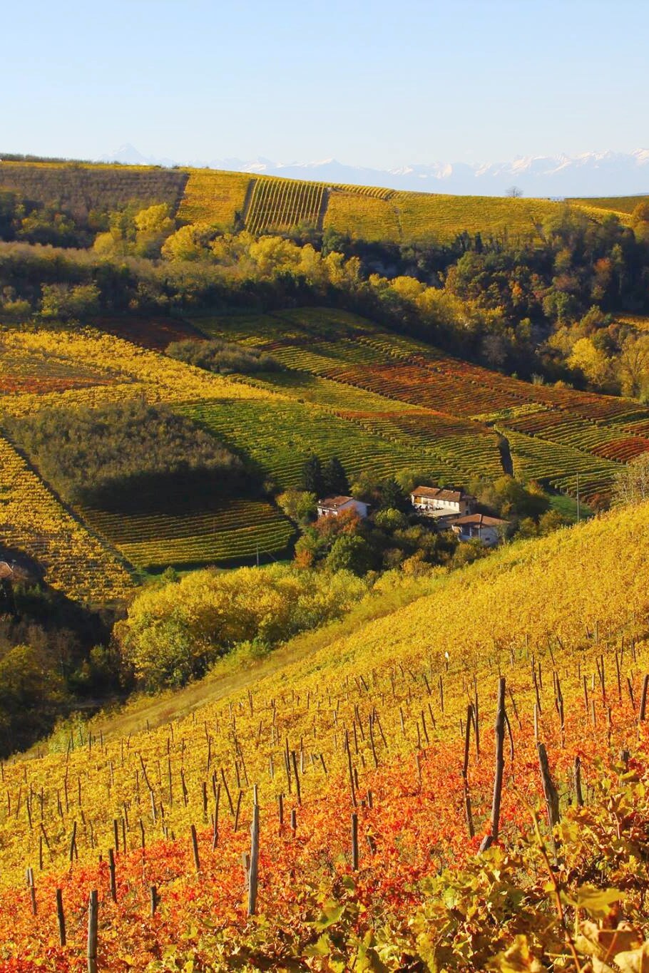 Best Things to Do in Metropolitan City of Genoa | Unique Tours ...