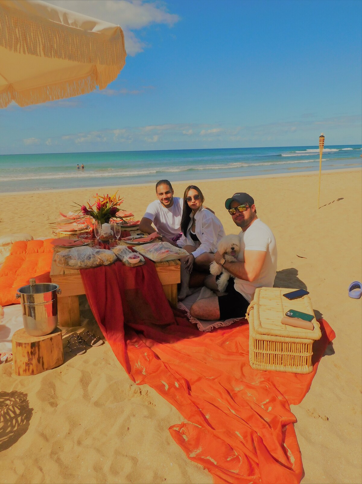 Best Things to Do in Samaná Province | Unique Tours & Activities ...