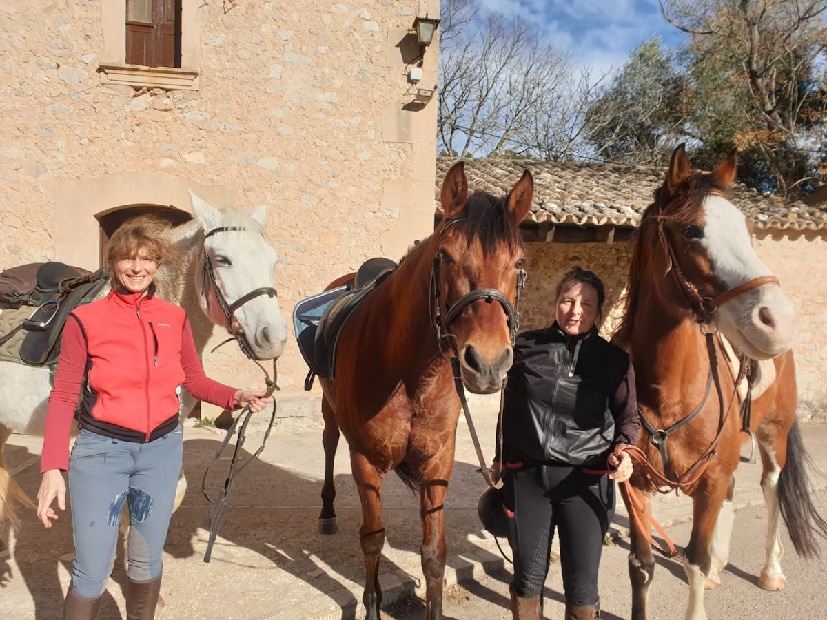 Best Things to Do in Majorca | Unique Tours & Activities - Balearic ...