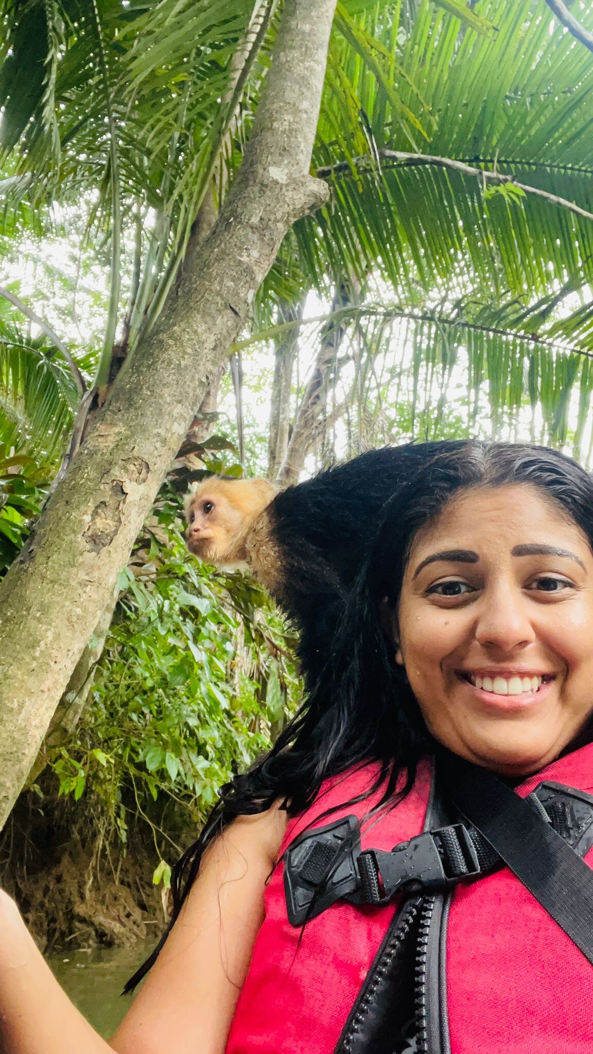 Best Things to Do in Quepos | Unique Tours & Activities - Puntarenas ...