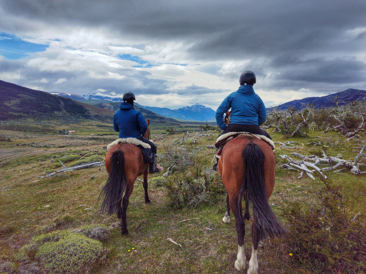 Best Things to Do in Chile | Unique Tours & Activities | Airbnb