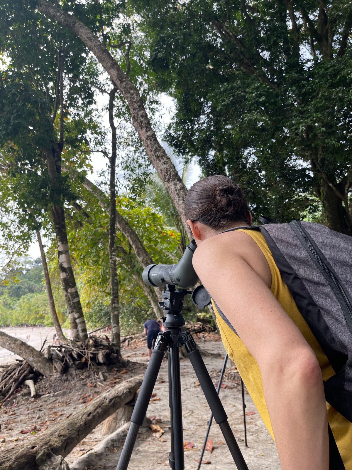 Best Things to Do in Quepos | Unique Tours & Activities - Puntarenas ...