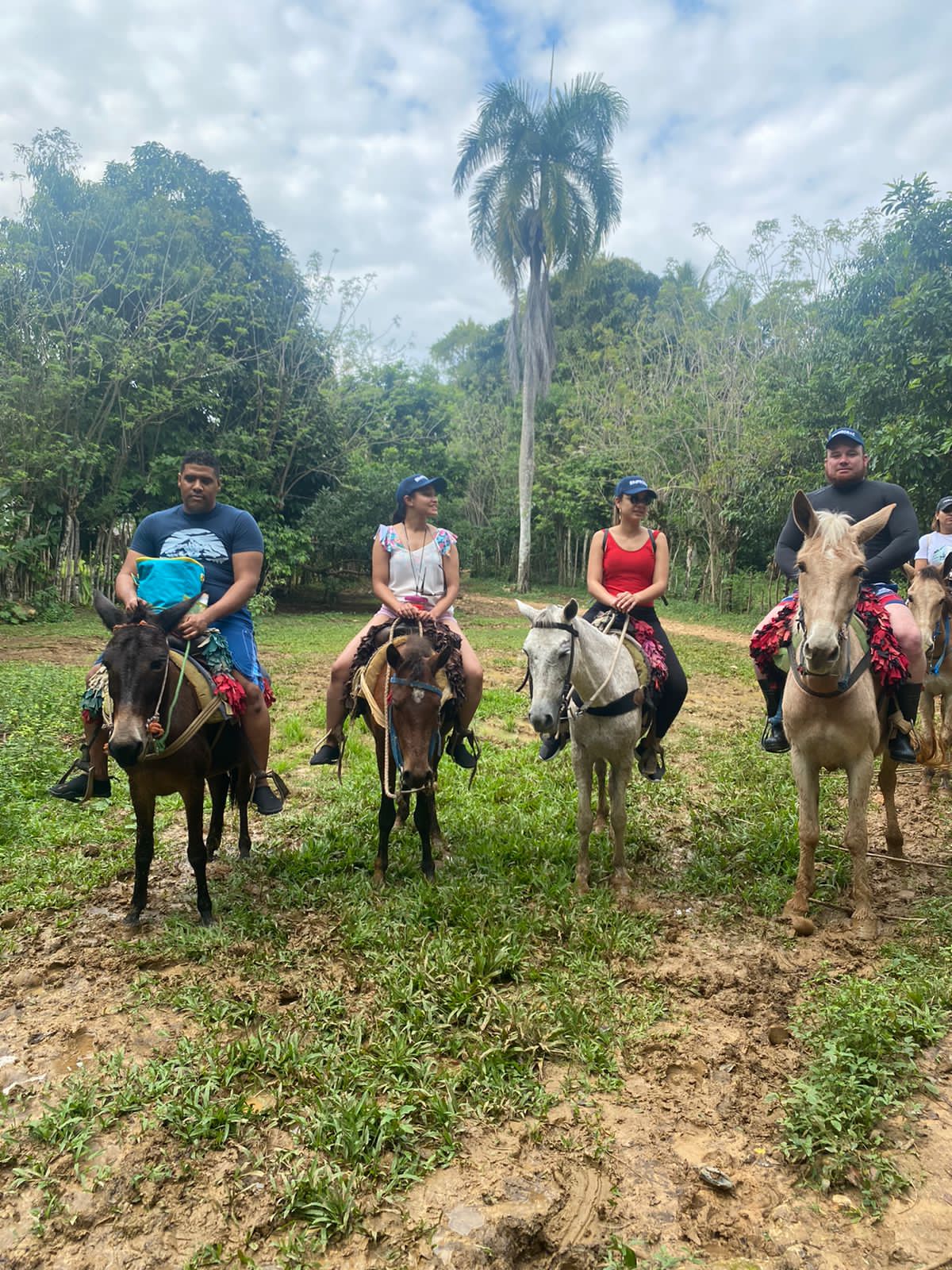 Best Things to Do in Samaná Province | Unique Tours & Activities ...