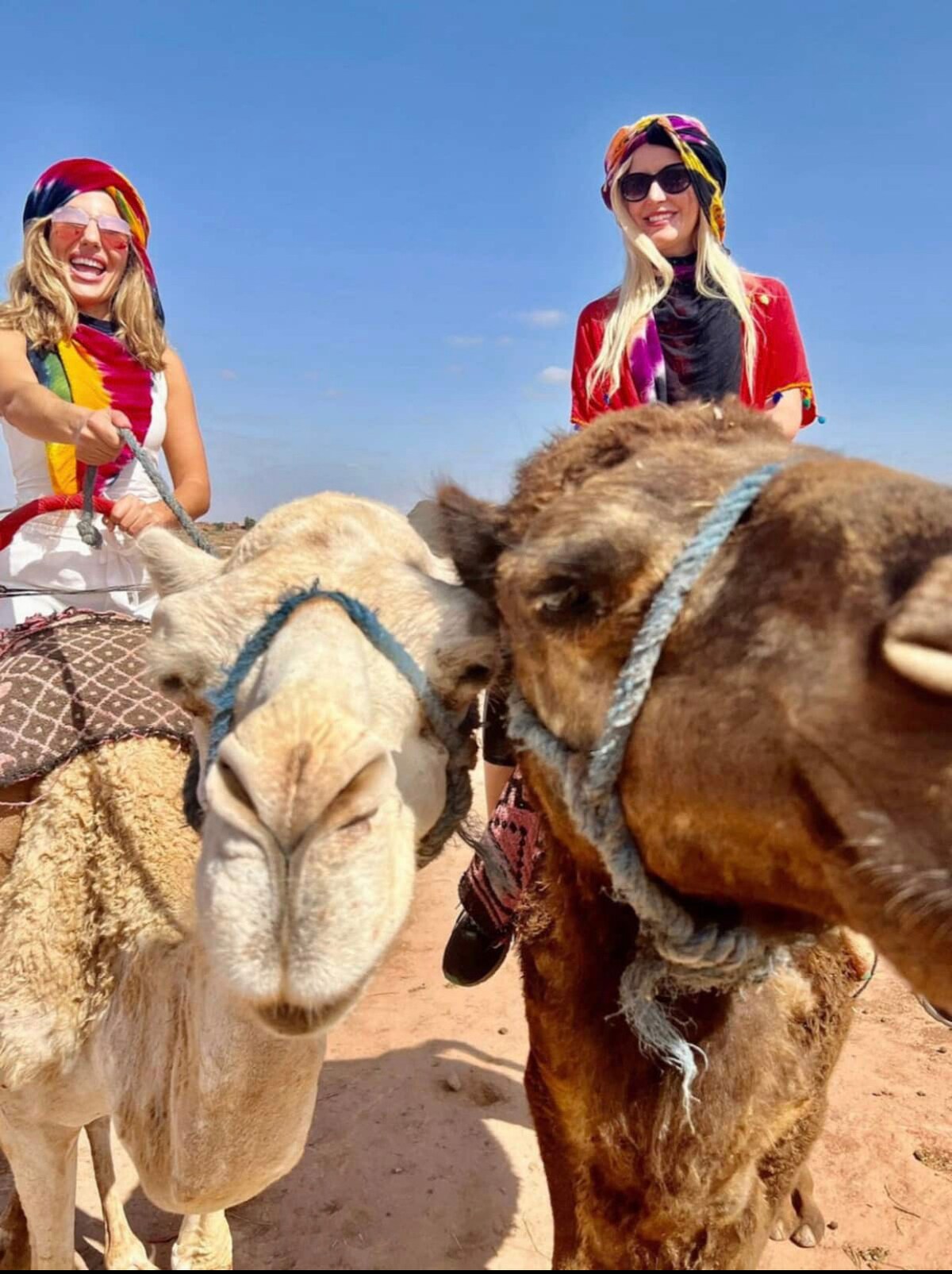 Best Things to Do in Marrakesh | Unique Tours & Activities - Morocco ...