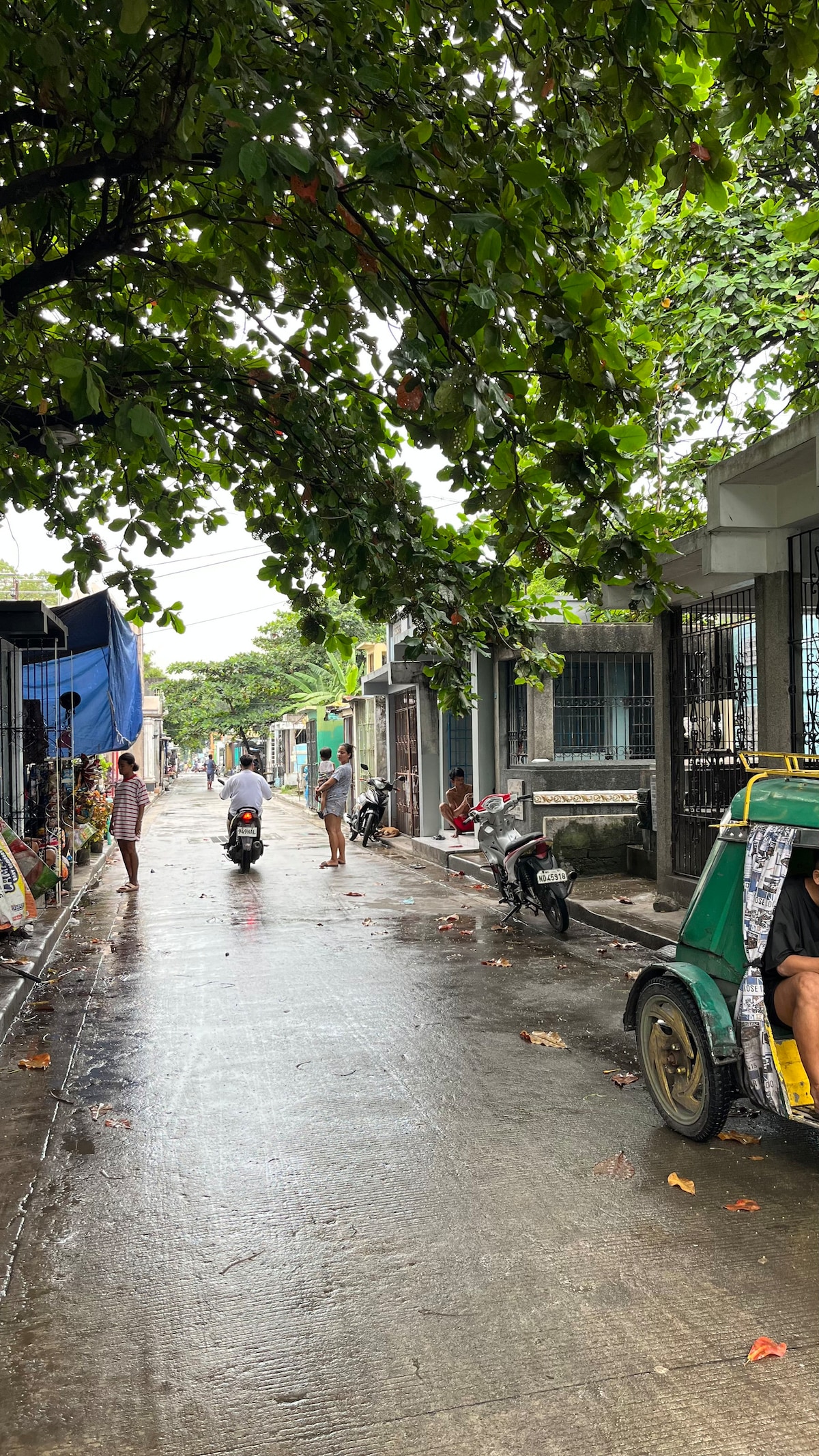 Grand Manille : les meilleures activités | Visites et expériences ...