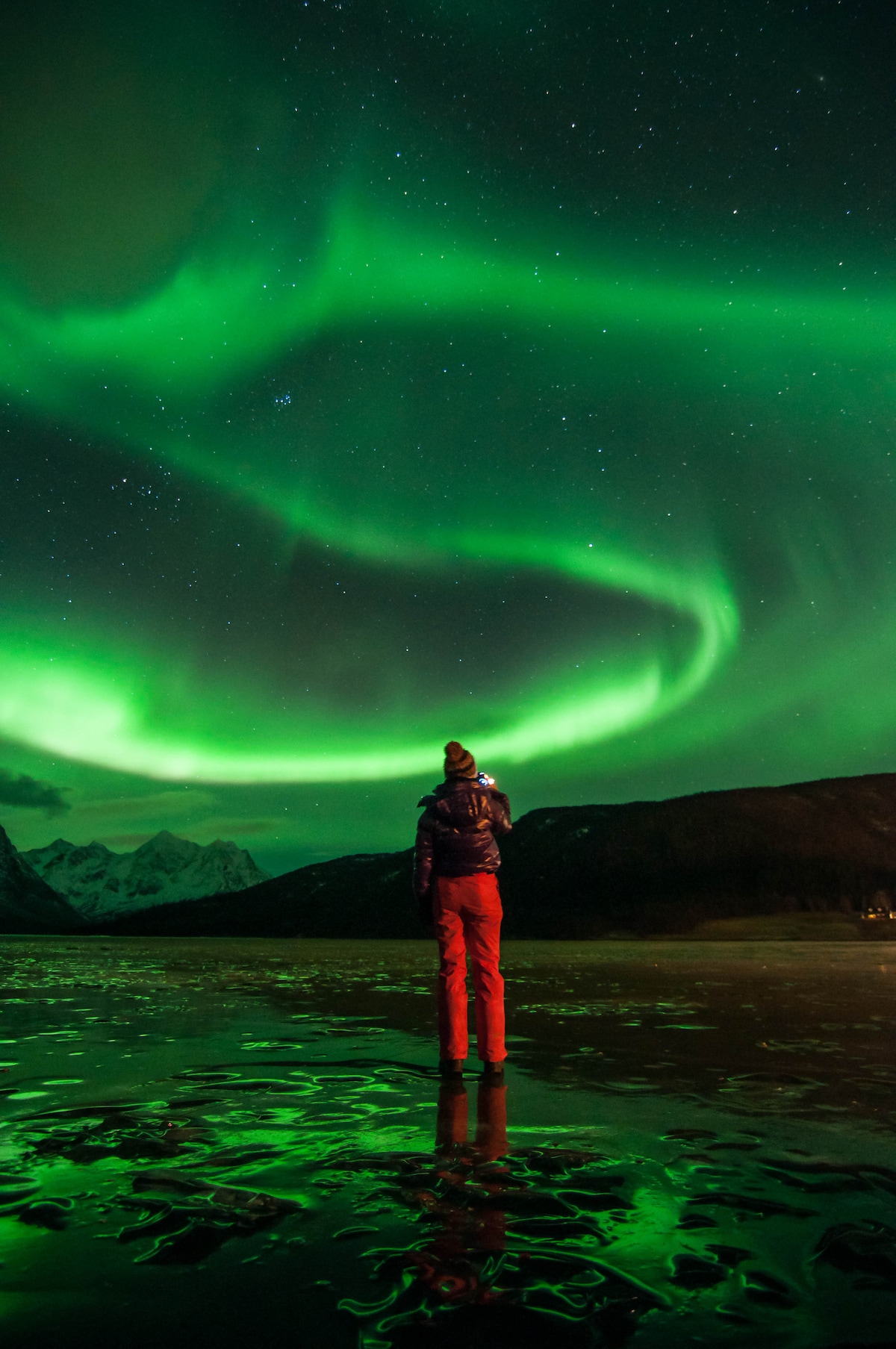 Best Things to Do in Northern Norway | Unique Tours & Activities ...