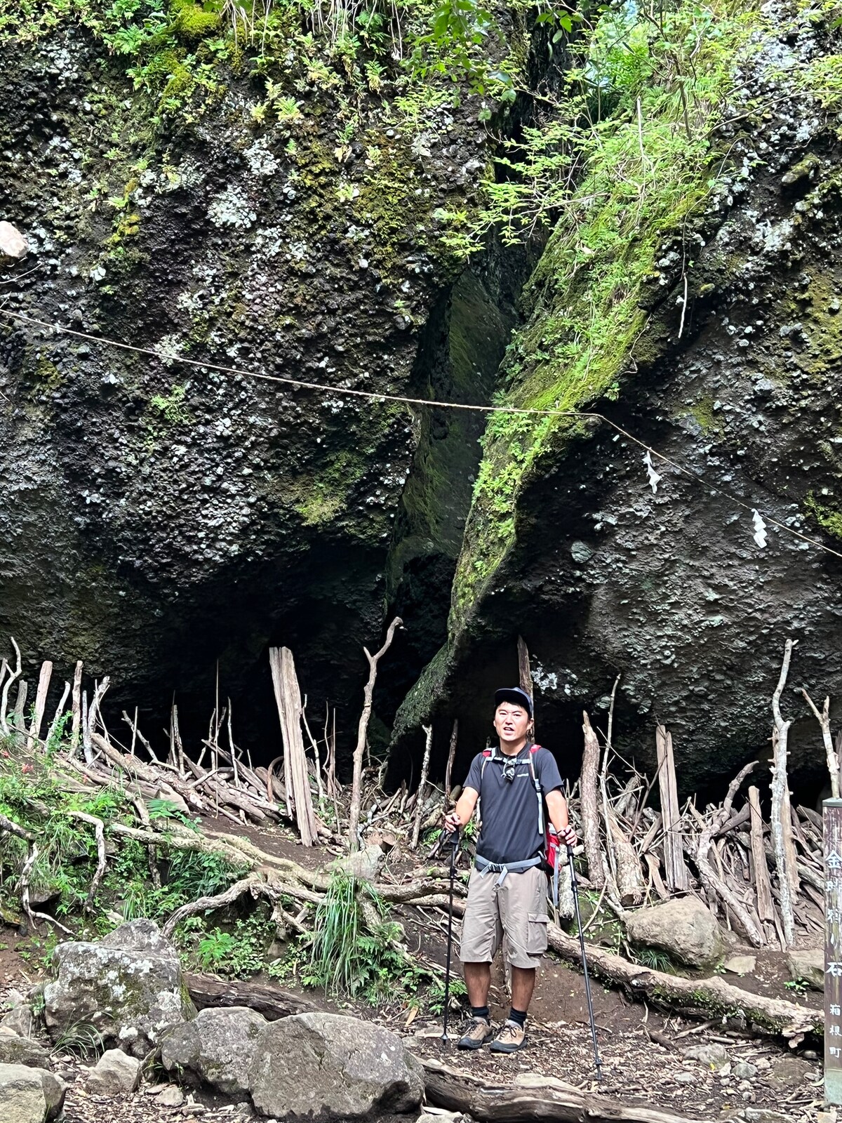 Best things to do in Tōkai Region | Unique tours & activities - Japan ...