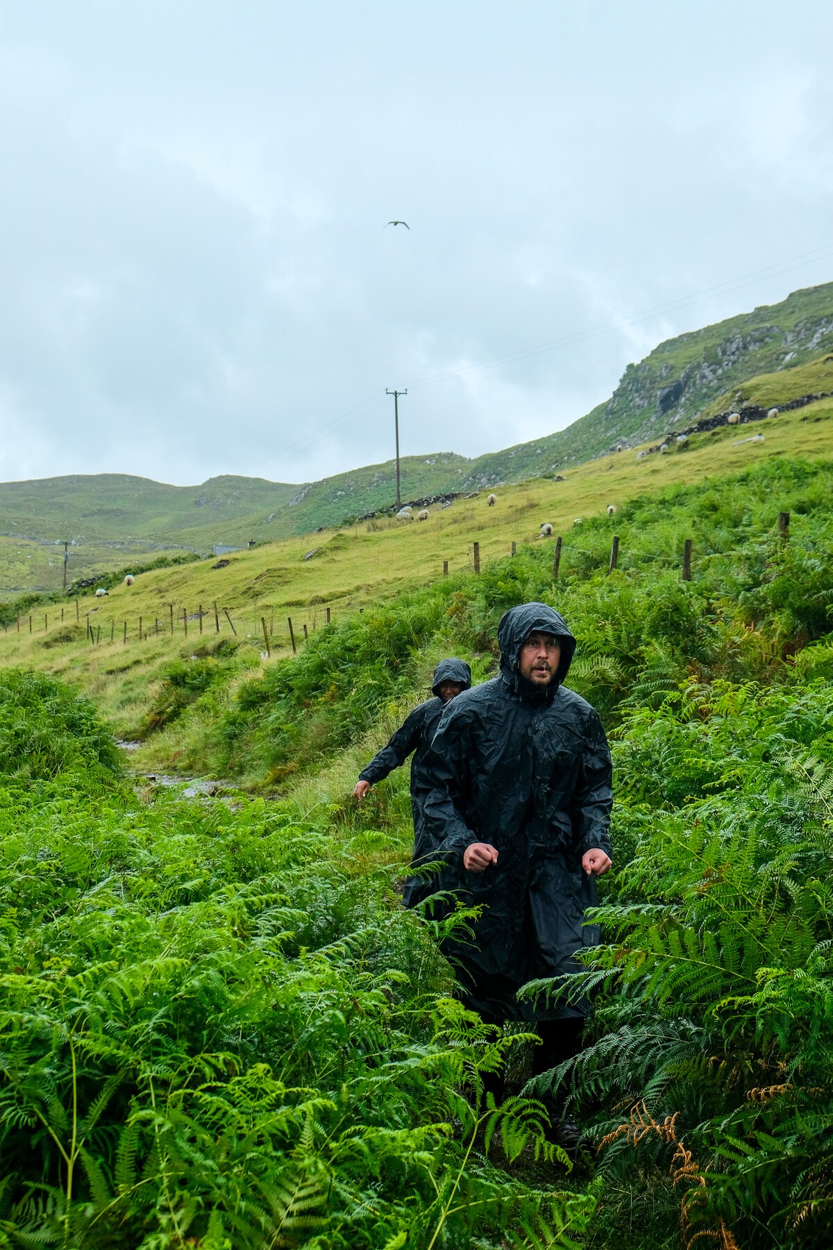 Best Things to Do in Galway | Unique Tours & Activities - County Galway ...