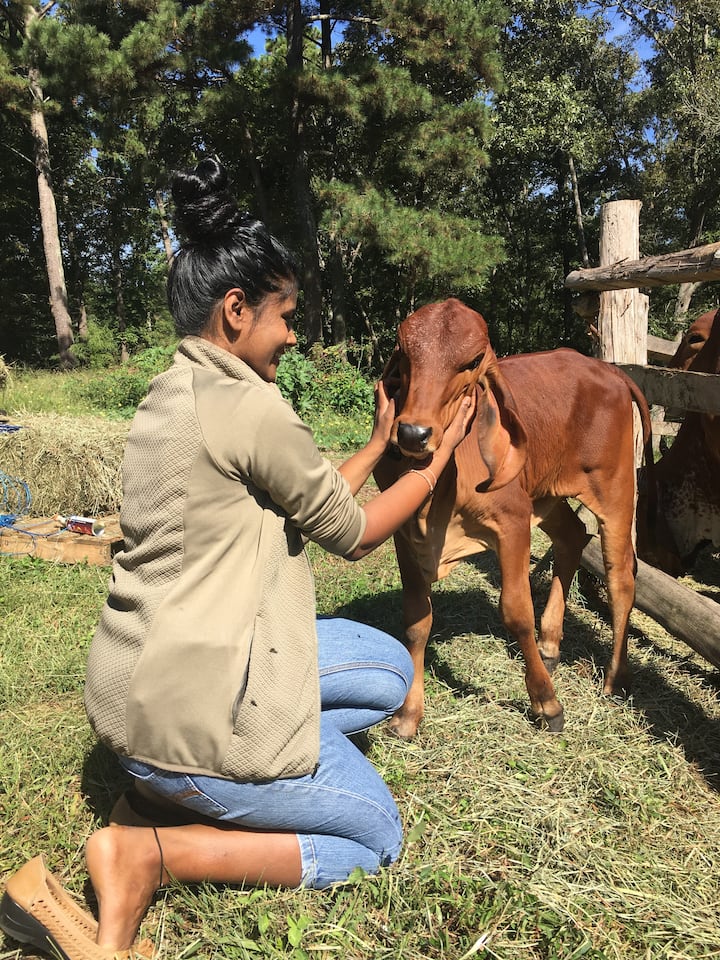 Things to Do in Boydton | 5-Star Authentic Experiences