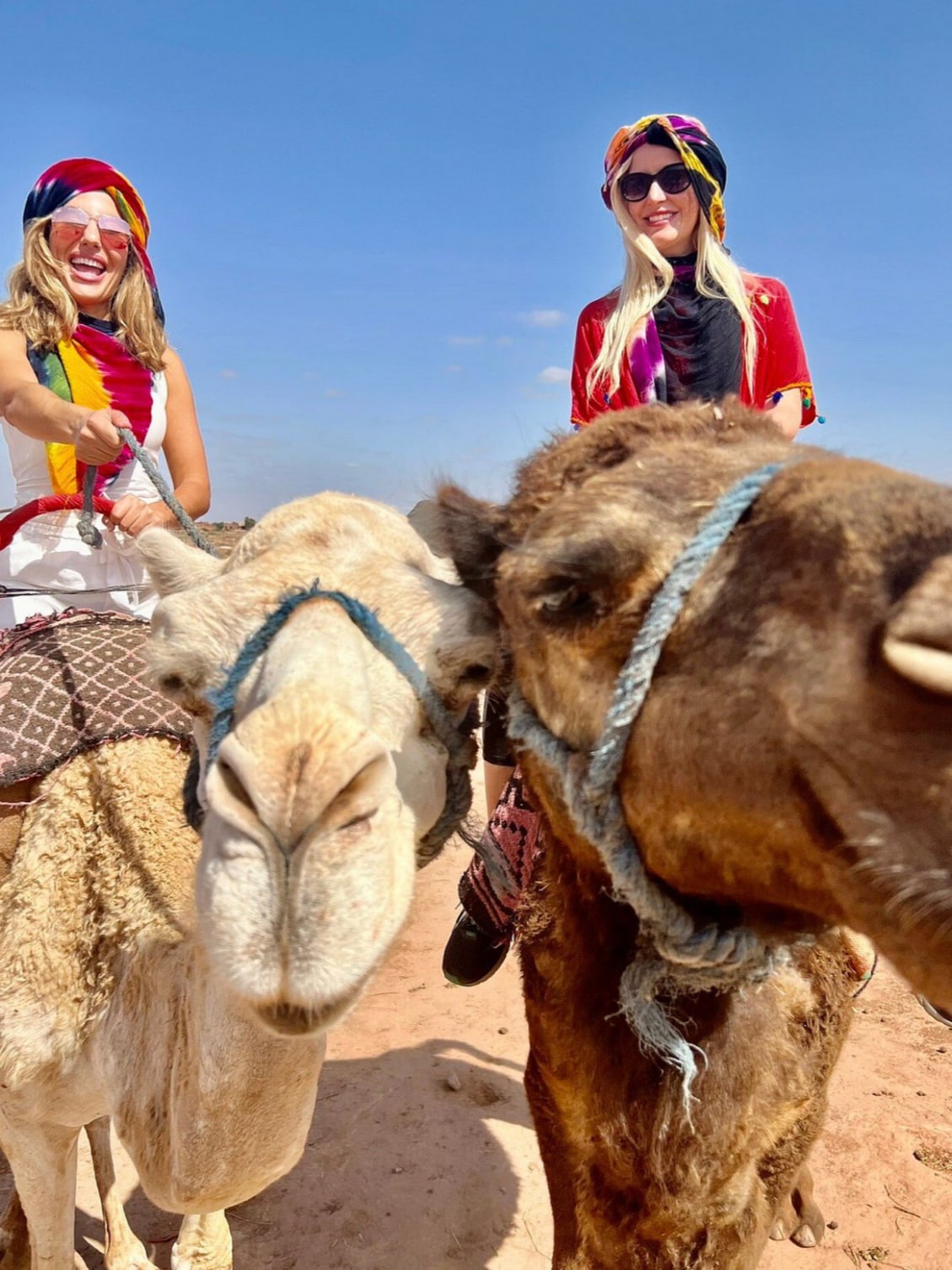Best Things to Do in Marrakesh | Unique Tours & Activities - Morocco ...
