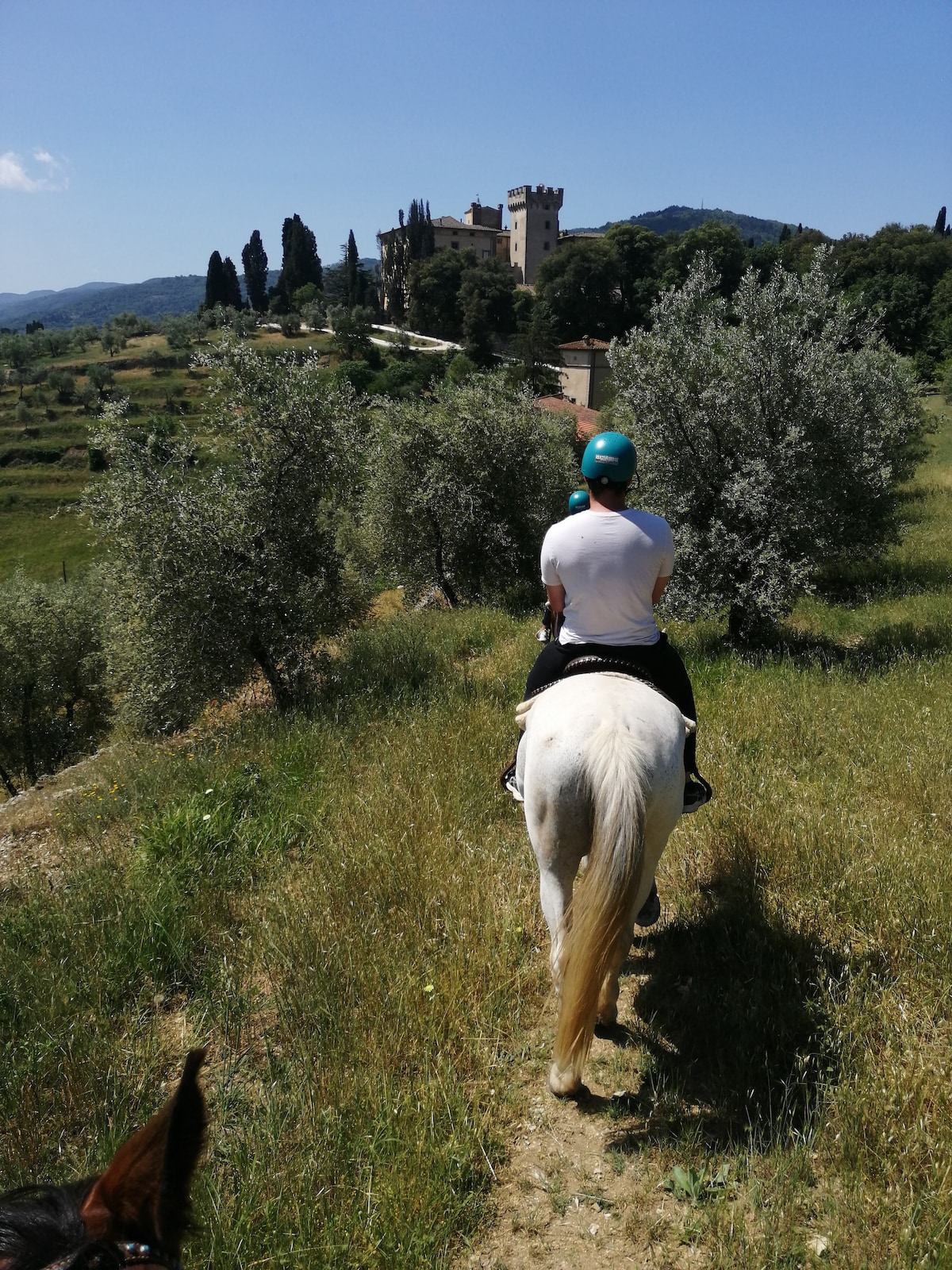 Best Things to Do in Tuscany | Unique Tours & Activities - Italy | Airbnb