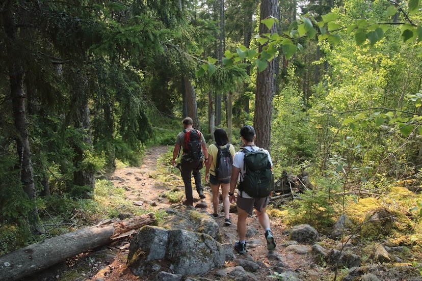 Best Things to Do in Stockholm | Unique Tours & Activities - Stockholm ...