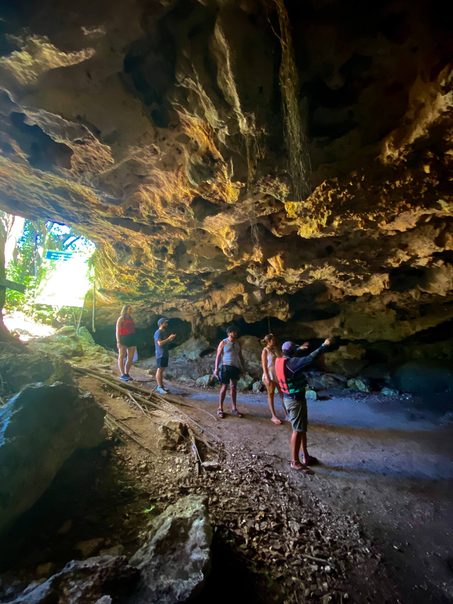 10 Best Tulum Bike Tours You Won't Want to Miss in 2023