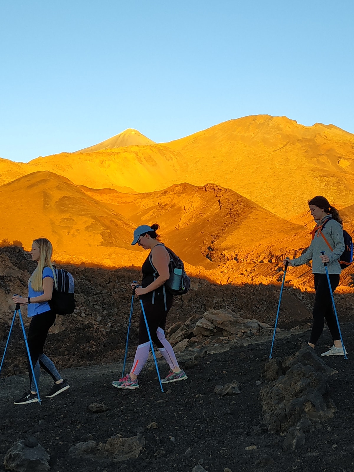 Tenerife : les meilleures activités | Visites et expériences uniques ...