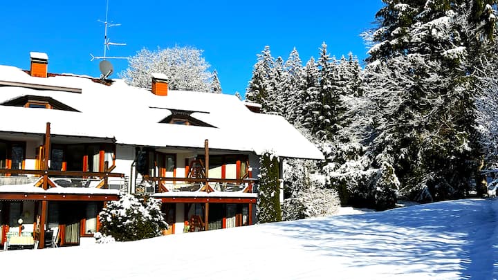 Michels Apartment - Hinterzarten