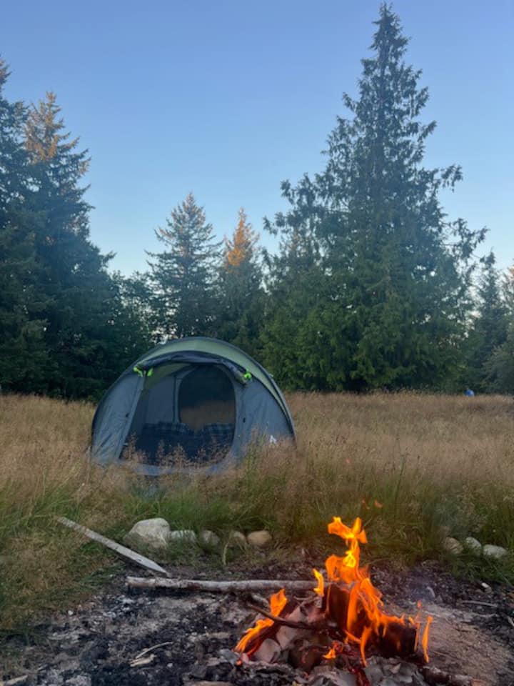 Come Camp On Our Beautiful Land. - Port Angeles, WA