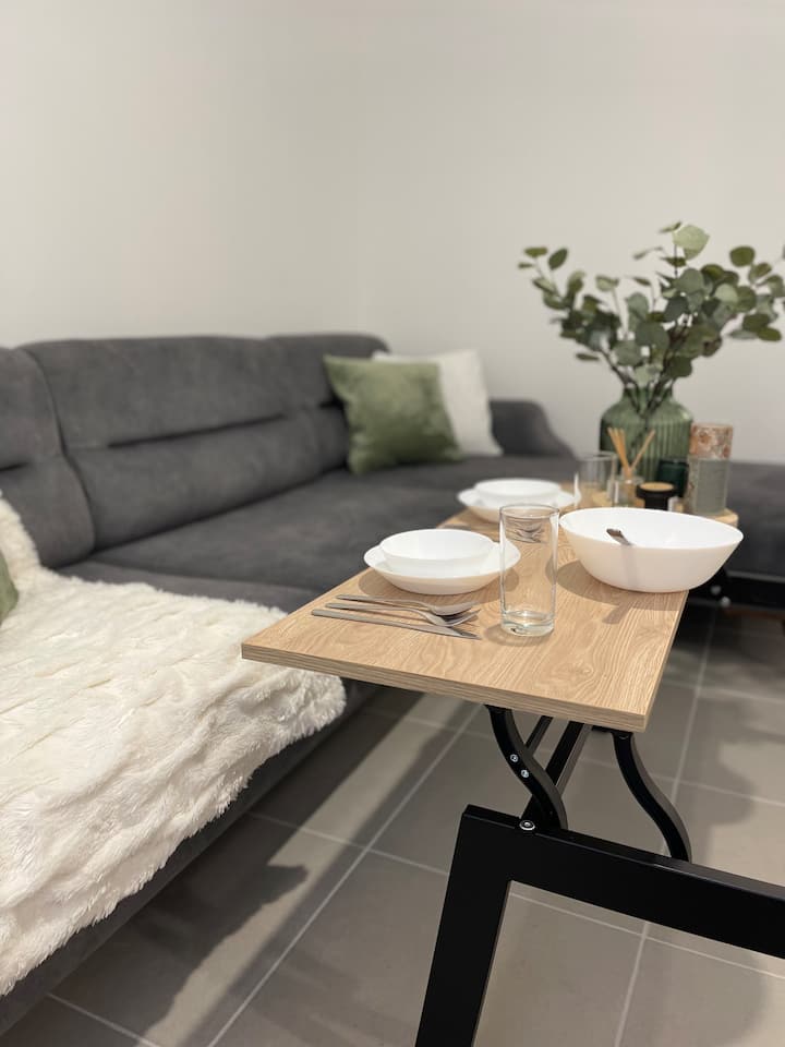 Maison T3+parking+accès Eurexpo Et Groupama - ibis Lyon Est Bron