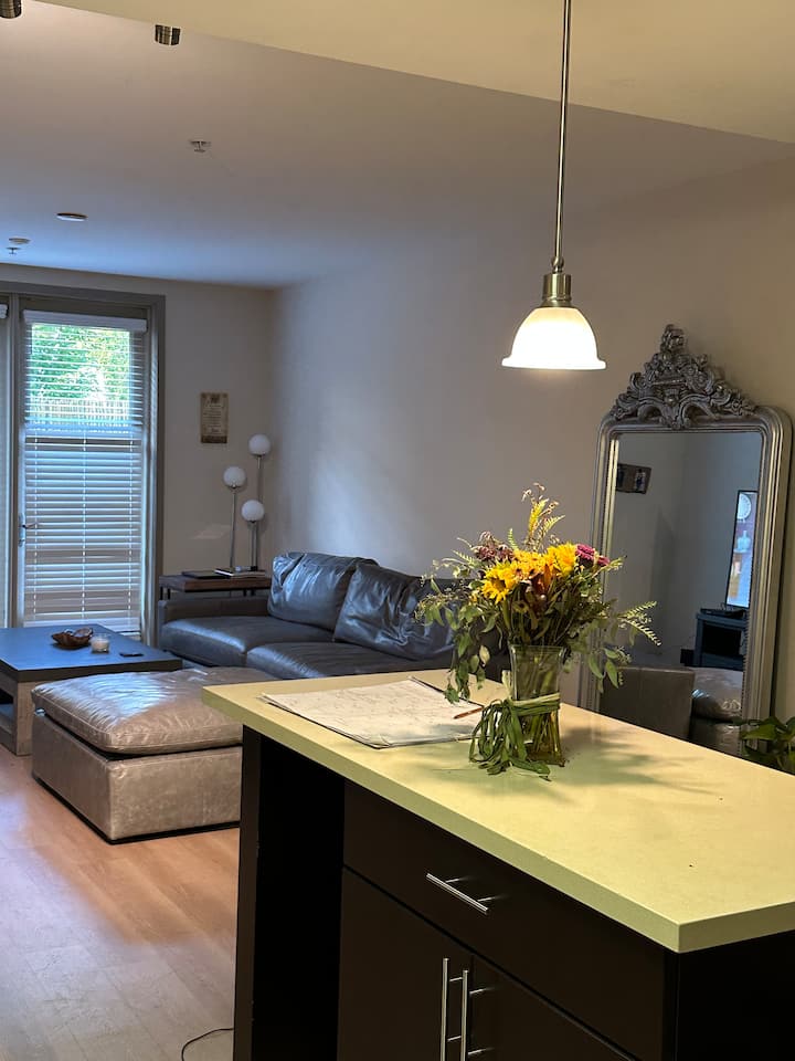 Cozy 2 Bedroom Sanctuary - Walnut Creek, CA