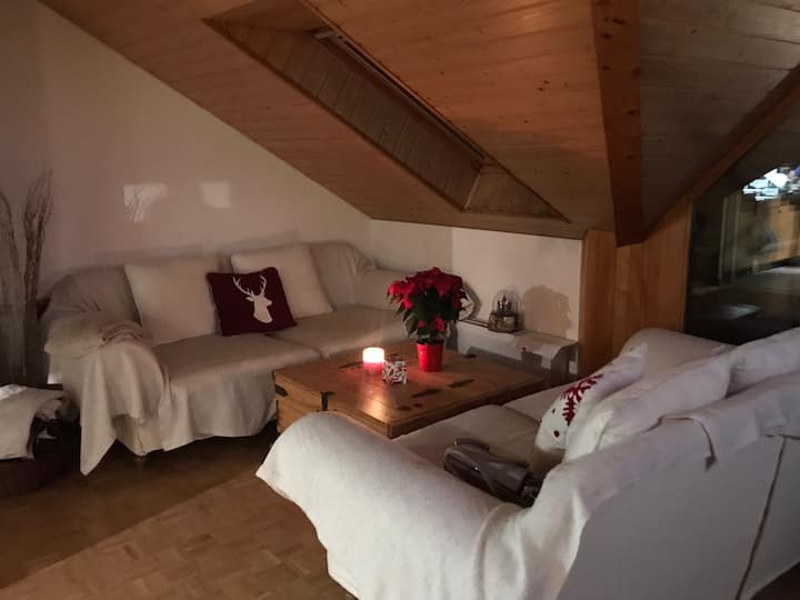 Pretty And Quiet Apartment - Divonne-les-Bains