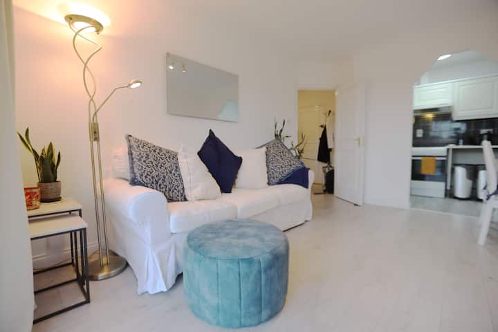 Chic 2 Bed Central Condo - Dublin