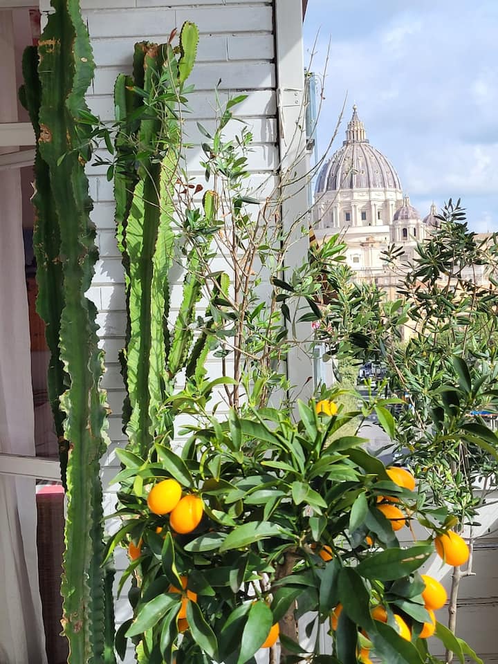 Roma Vaticano St Peter's  Panoramic View Apartment - Rome