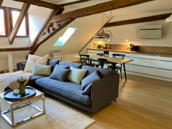 Duplex De Charme - Petite Venise - Colmar