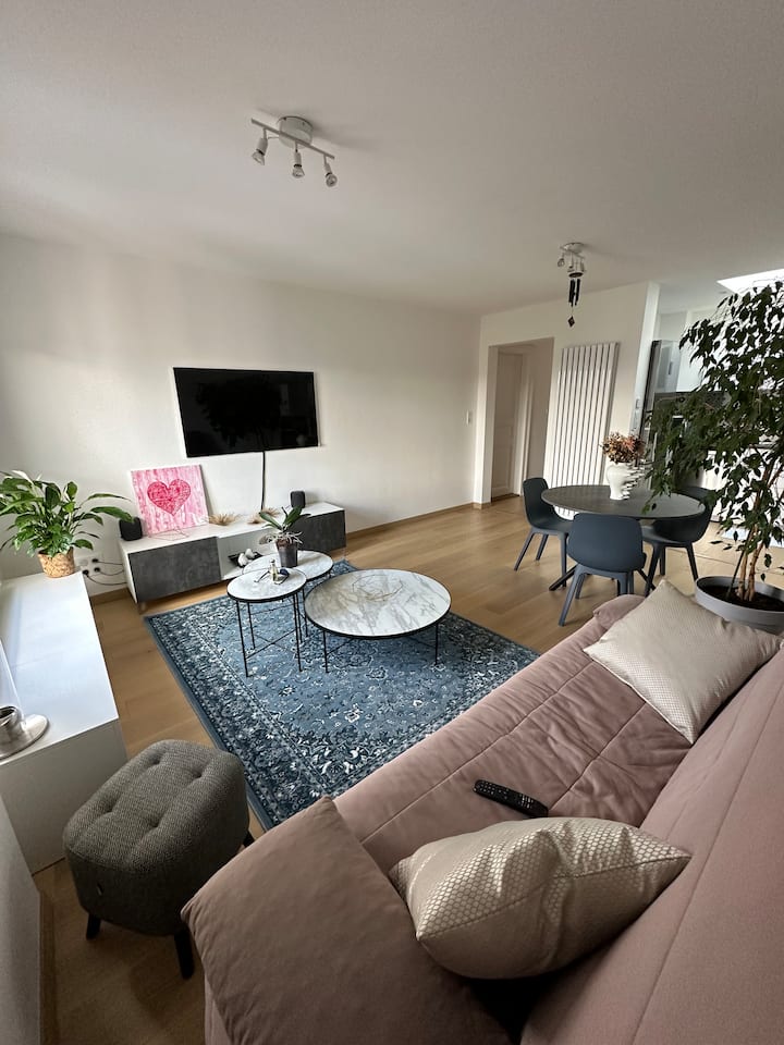 Logement Entier Calme - Lumineux - Strasbourg