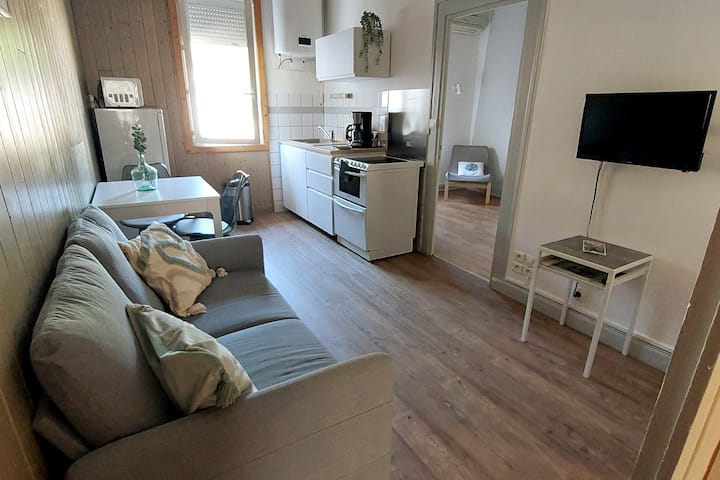 La Duv'villa - Appartement 2 - Puy de Sancy